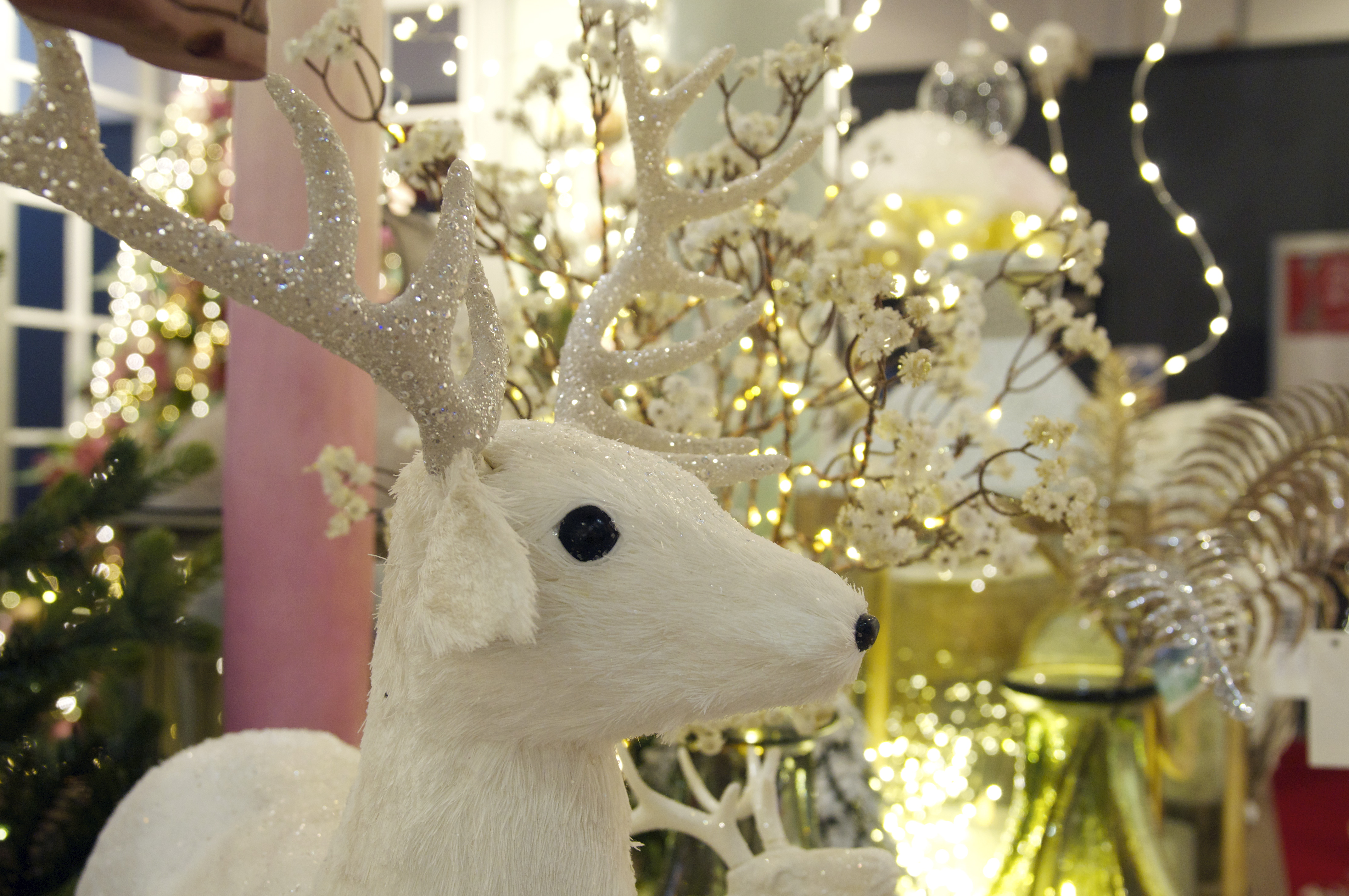 Harrogate Christmas & Gift Fair 2021